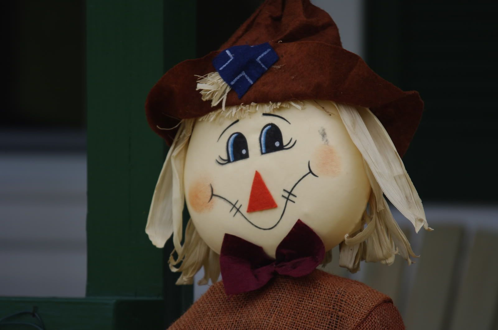 K20d Problem - PentaxForums.com